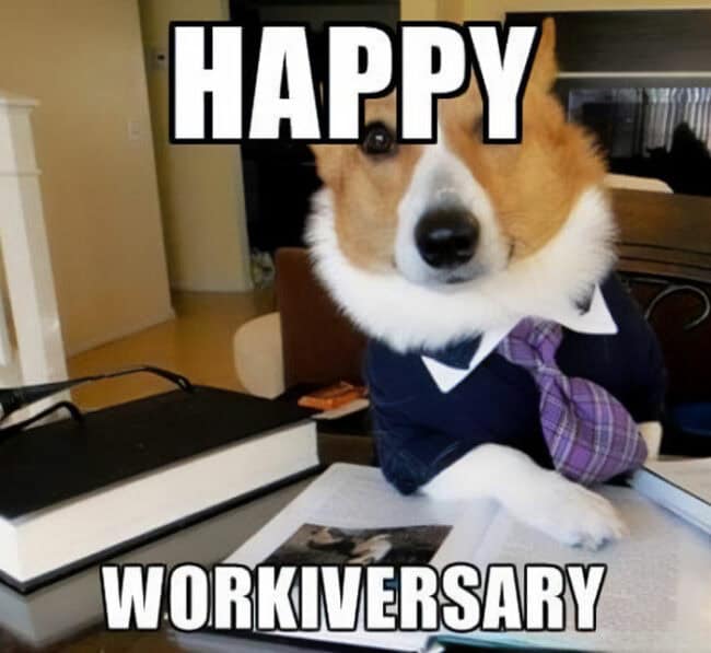 45 Hilarious Work Anniversary Memes For Employees Trapped In A Dead-End Job