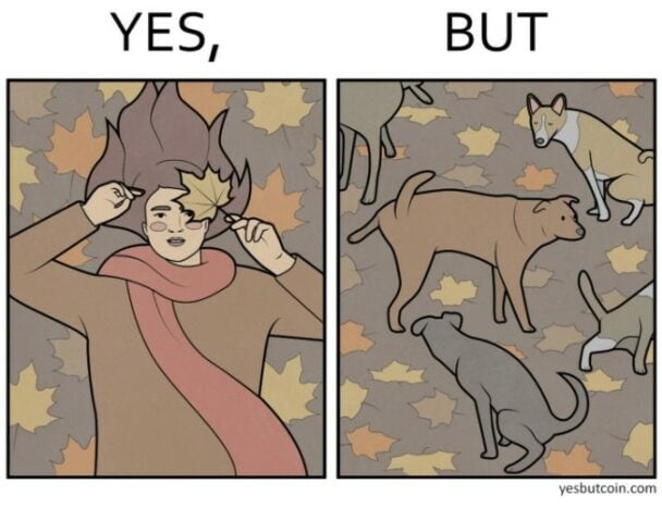 45 Funny "Yes, But" Comics That Show Life's Hilarious Contradictions ...