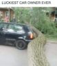 50 Hilarious Car Memes For Everyone From Driving Fans To POS Commuters