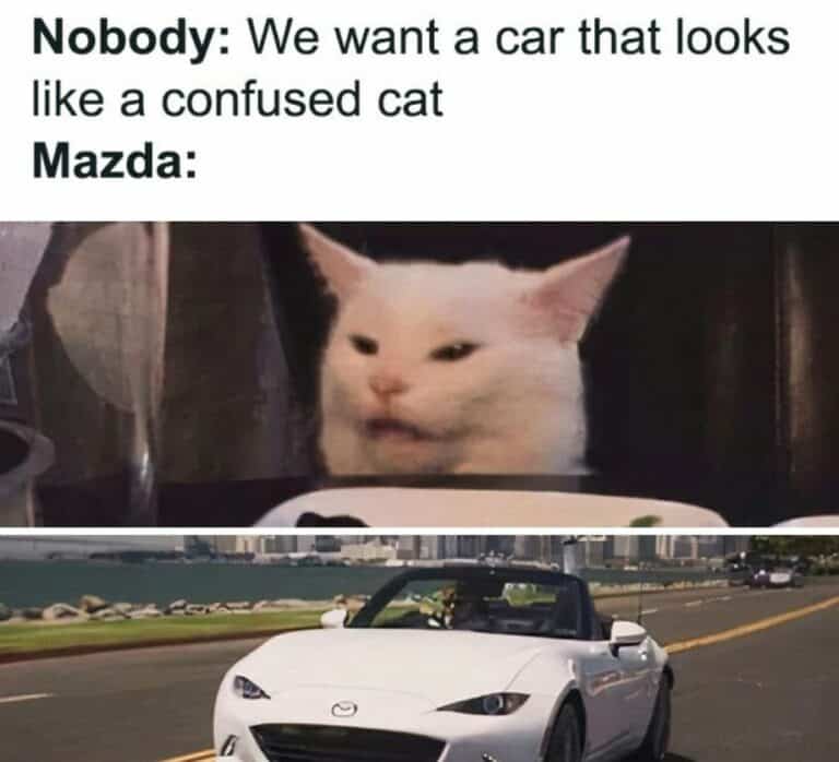 50 Hilarious Car Memes For Everyone From Driving Fans To POS Commuters