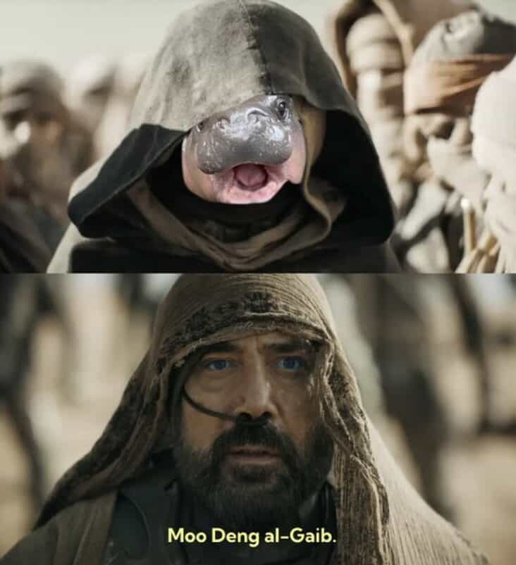 43 Funny Memes All Up In Yo' Face