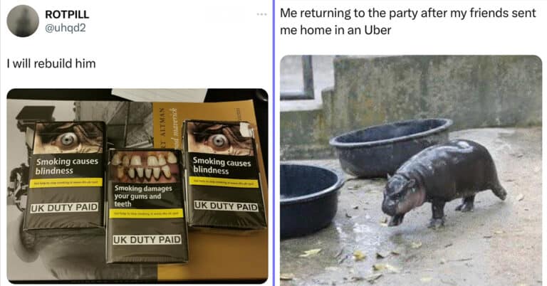 40 Funny Memes That Don't Mess Around