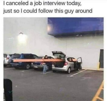 40 Funny Memes That Don't Mess Around