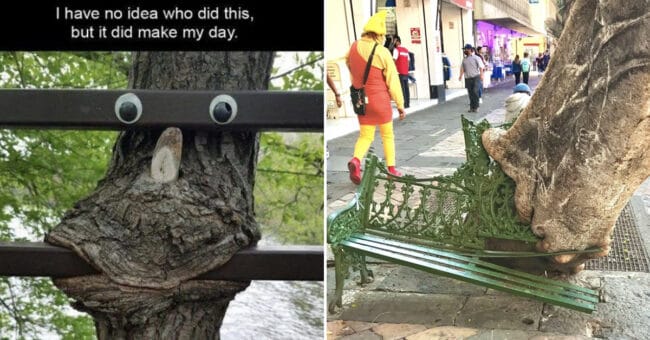 19 Strange And Slightly Unsettling Photos Of Trees Eating Things