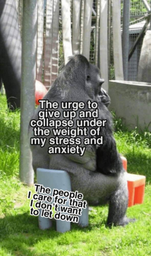 45 Wholesome Memes And Heartwarming Posts Guaranteed To Make You Smile ...