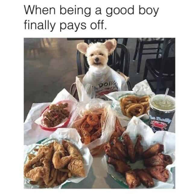 35 After Dark Memes That Get Funnier The Later It Gets