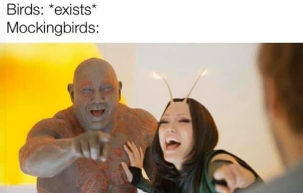 35 After Dark Memes That Get Funnier The Later It Gets