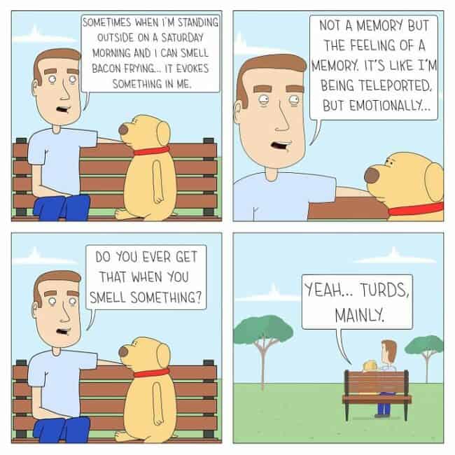 40 Hilariously Ironic Comics By "Barely Baked Beans" That Capture Life ...