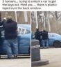 41 Fast And Funny Car Memes For Speed-Loving Auto Enthusiasts