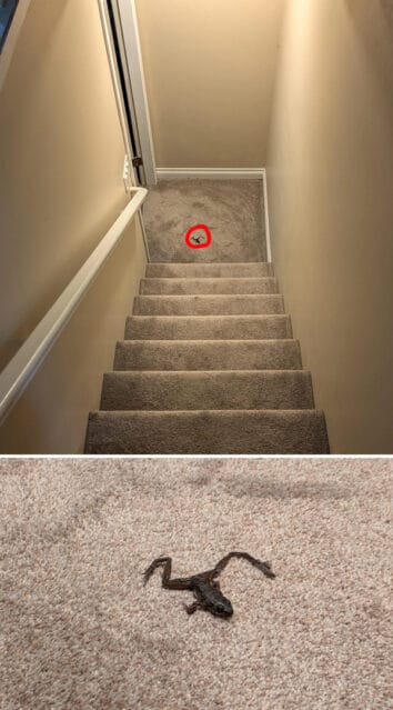 35 Creepy Things People Found Hidden In Their Houses