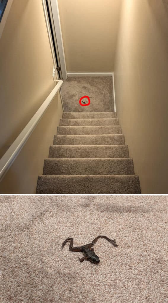 35 Creepy Things People Found Hidden In Their Houses