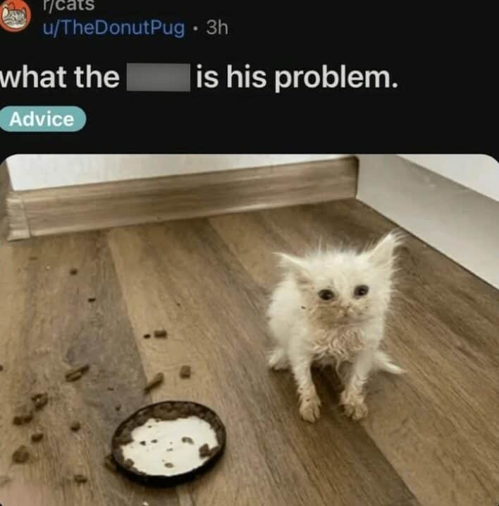 40 Funniest Reddit Pictures From The Depths Of The Subreddits This Week