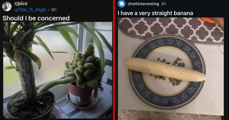 40 Funniest Reddit Pictures From The Depths Of The Subreddits This Week