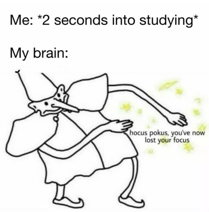 31 Funniest Memes About The Struggle For People Who Can Barely Function ...