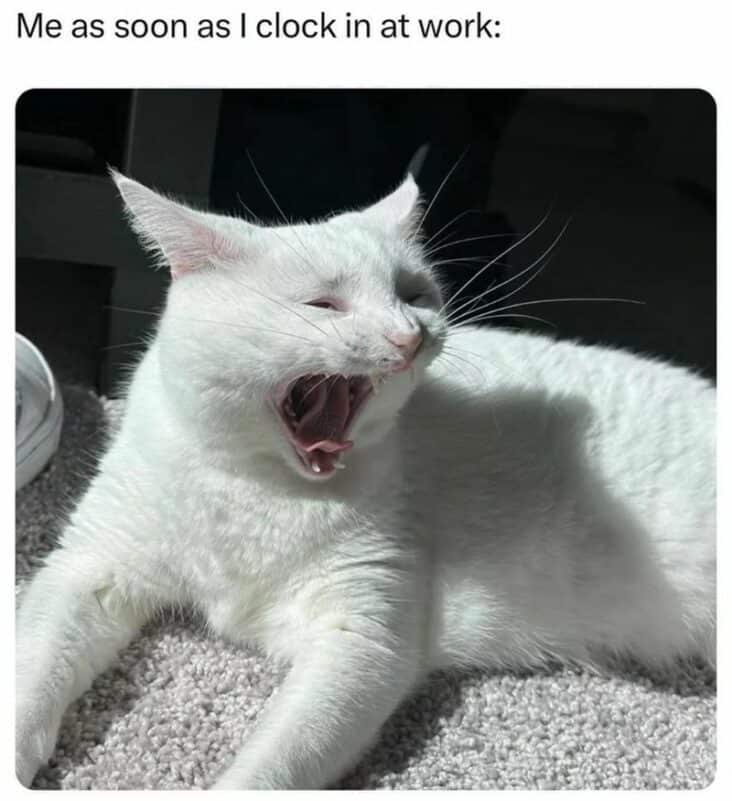 31 Funniest Memes About The Struggle For People Who Can Barely Function ...