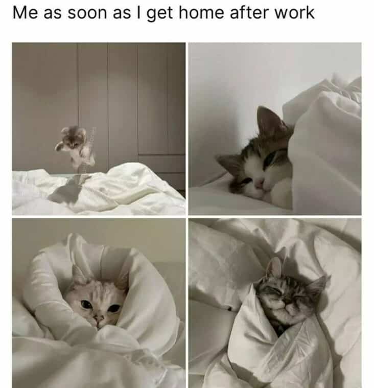 31 Funniest Memes About The Struggle For People Who Can Barely Function ...