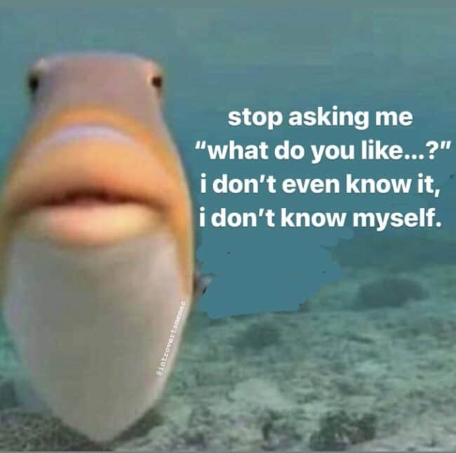 31 Funniest Memes About The Struggle For People Who Can Barely Function ...