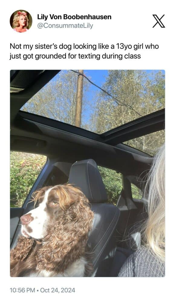 35 Funniest Tweets Of All Time From Friday (October 25, 2024)