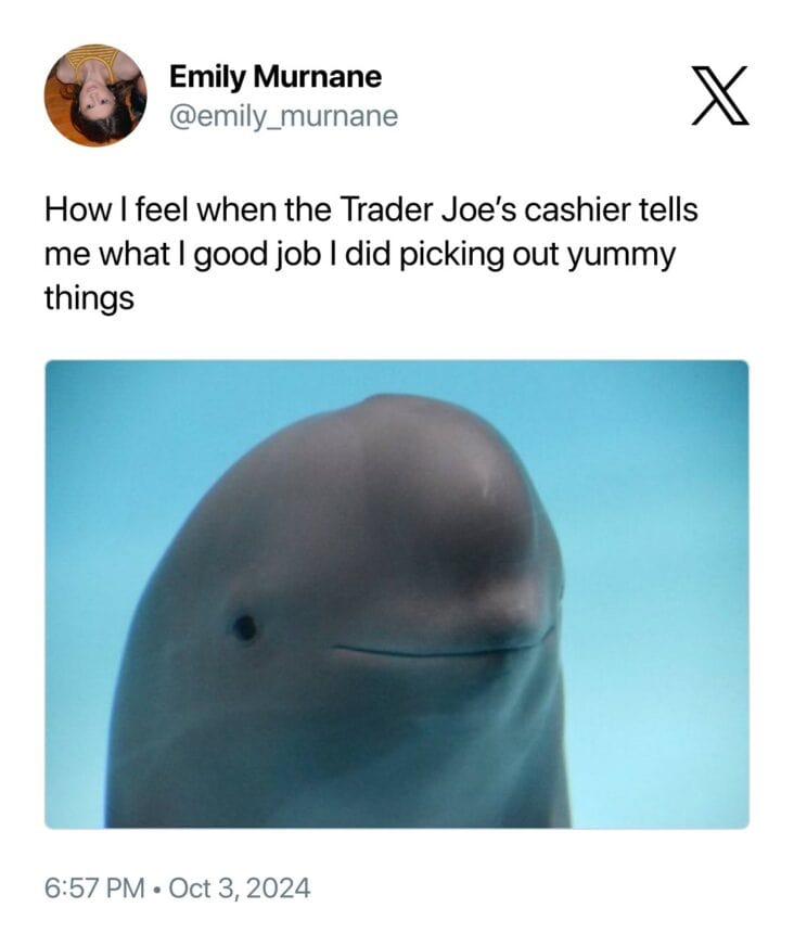 30 Funniest Tweets Going Viral Today (October 4, 2024)