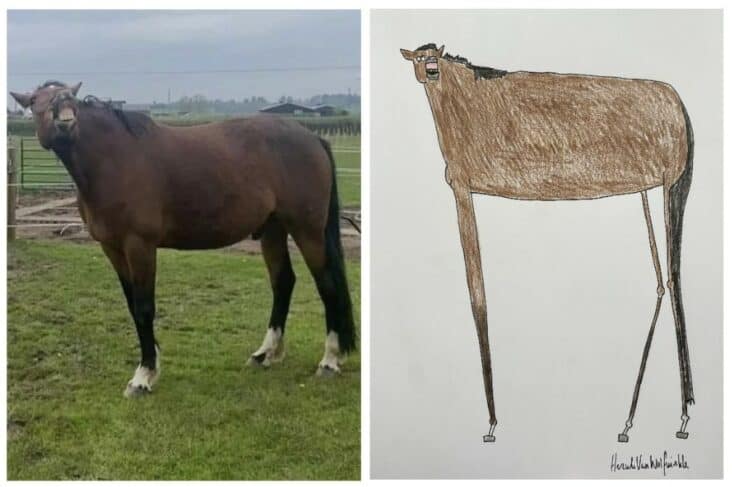 40 Terrible Drawings Of Beloved Animals From "Pet Portraits By Hercule"