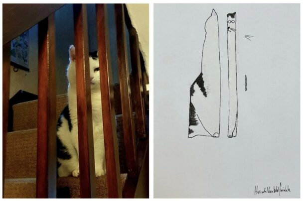 40 Terrible Drawings Of Beloved Animals From "Pet Portraits By Hercule"