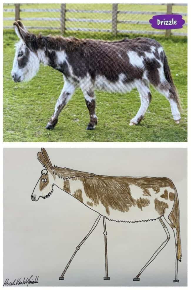 40 Terrible Drawings Of Beloved Animals From "Pet Portraits By Hercule"