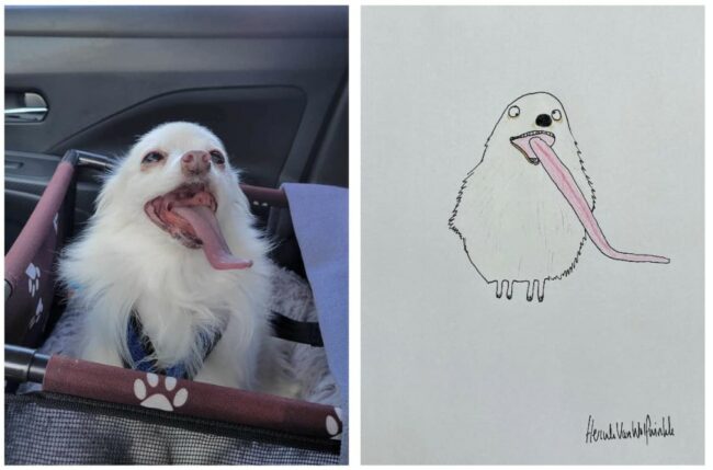 40 Terrible Drawings Of Beloved Animals From "Pet Portraits By Hercule"