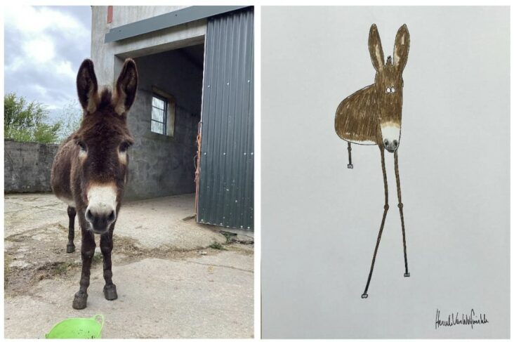 40 Terrible Drawings Of Beloved Animals From "Pet Portraits By Hercule"