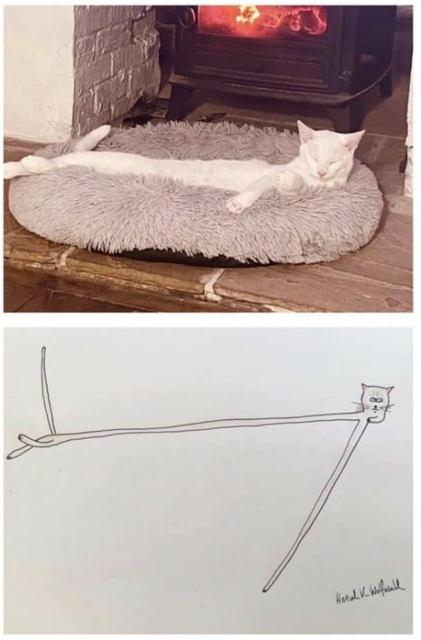 40 Terrible Drawings Of Beloved Animals From "Pet Portraits By Hercule"