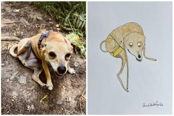 40 Terrible Drawings Of Beloved Animals From "Pet Portraits By Hercule"