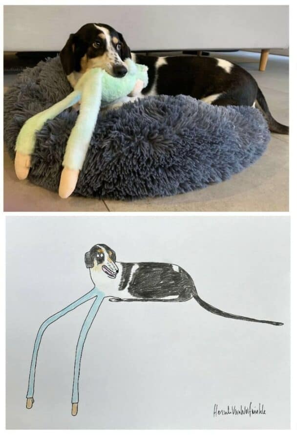 40 Terrible Drawings Of Beloved Animals From "Pet Portraits By Hercule"