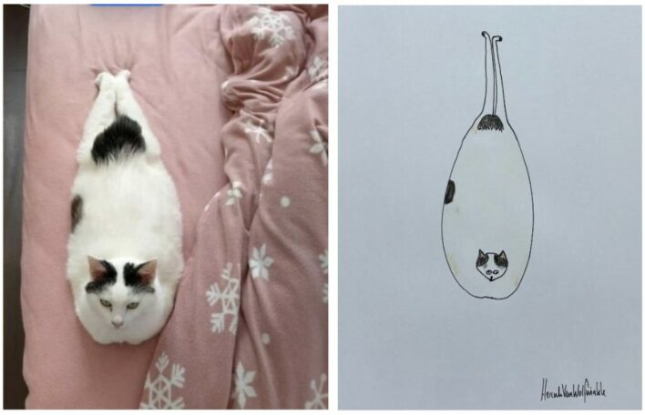 40 Terrible Drawings Of Beloved Animals From "Pet Portraits By Hercule"