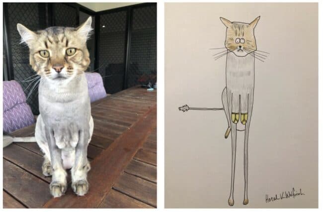 40 Terrible Drawings Of Beloved Animals From "Pet Portraits By Hercule"