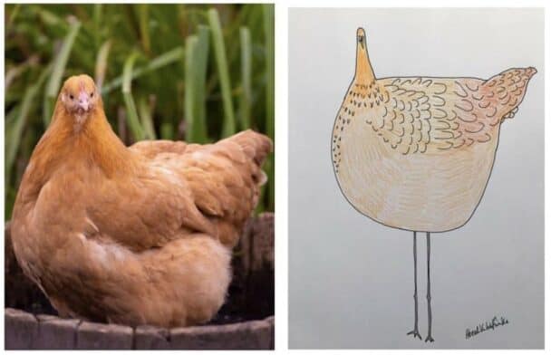 40 Terrible Drawings Of Beloved Animals From "Pet Portraits By Hercule"