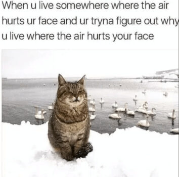 35 Funny Cold Weather Memes To Keep You Laughing Through Layering Season