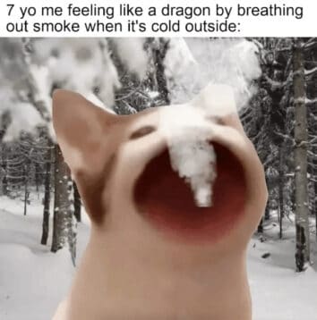 35 Funny Cold Weather Memes To Keep You Laughing Through Layering Season