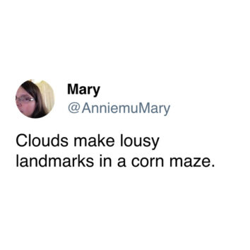 30 Funny Tweets About Corn Mazes That’ll Leave You Lost In Laughter