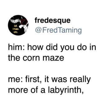 30 Funny Tweets About Corn Mazes That’ll Leave You Lost In Laughter