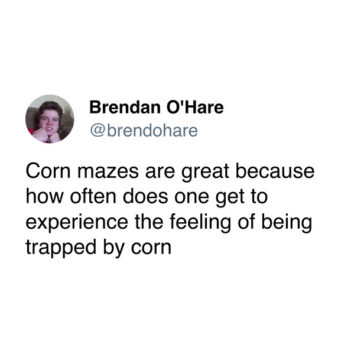 30 Funny Tweets About Corn Mazes That’ll Leave You Lost In Laughter
