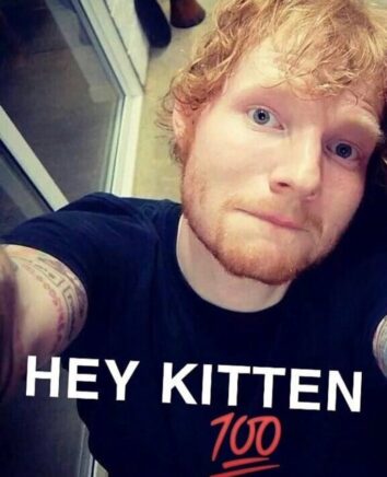 40 Funny Cringe Pictures That Start To Hurt The Longer You Look At Them