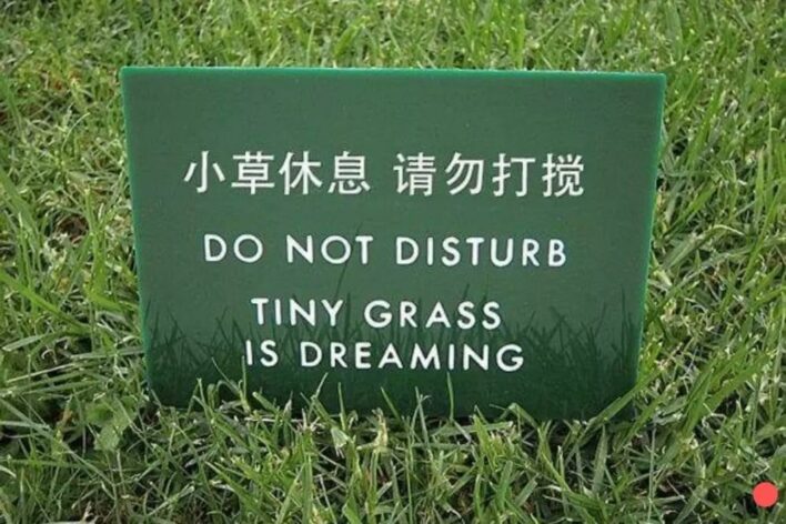 35 Funny Google Translate Fails That Didn't Quite Get The Full Message ...