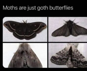 45 Funny Memes For Goths Who Like Their Humor And Wardrobe Dark