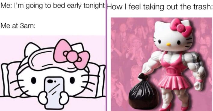 40 Hello Kitty Memes That Are Cuter Than You Can Handle