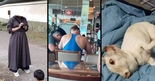 37 Funny Images From Confusing Perspectives That'll Take You A Sec To ...