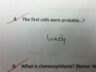 35 Funny Kids Test Answers That Came Straight Out Of Nowhere