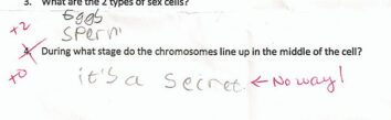 35 Funny Kids Test Answers That Came Straight Out Of Nowhere