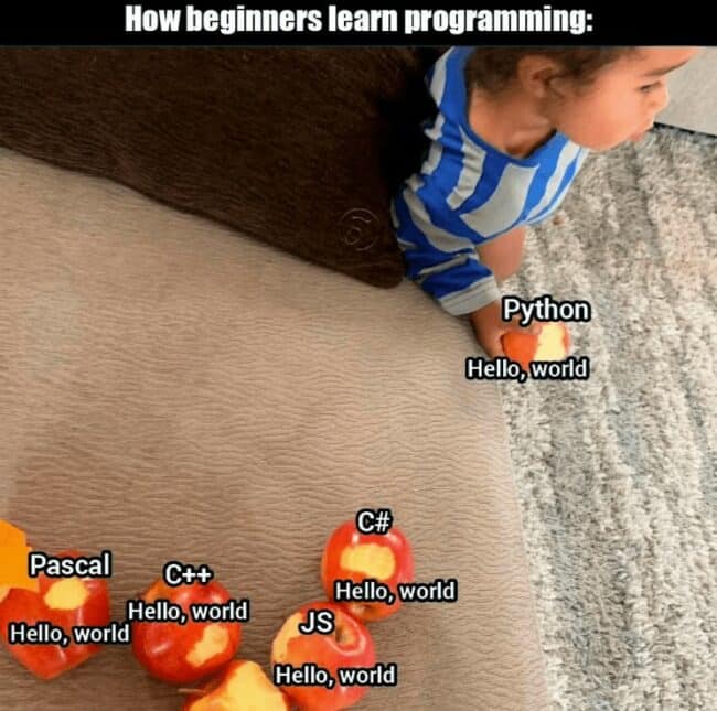 40 Funny Memes About Programming For Coding Dorks To Giggle At