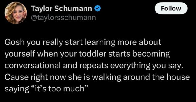 35 Funny Mom Tweets Show The Real Struggles Of Mothering Tiny Humans (October 21, 2024)