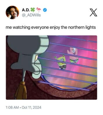 30 Funny Tweets About Seeing (Or Not Seeing) The Northern Lights You’ll ...
