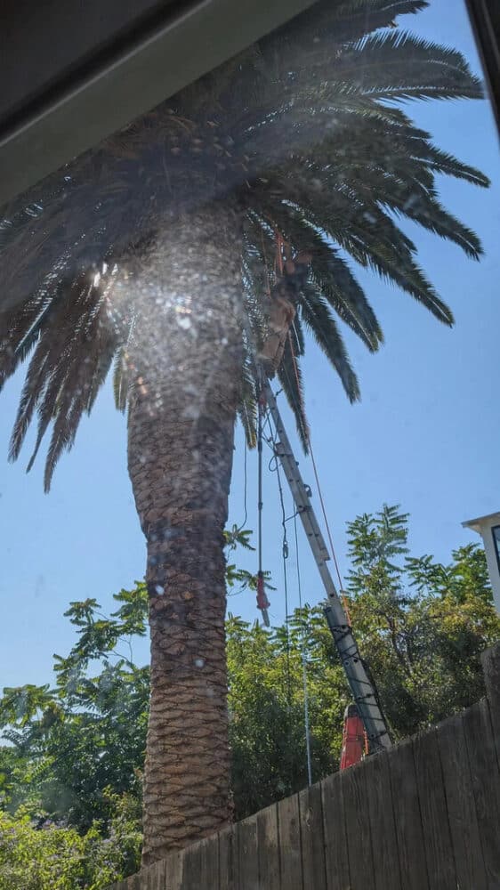 35 Funny OSHA Fails Where Safety Definitely Wasn't First